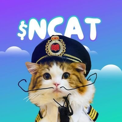 ApeStore - Trade NCAT on Base with low fees and convenience