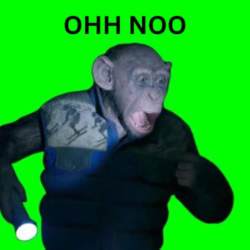 ApeStore - Trade Ohhno on Base with low fees and convenience