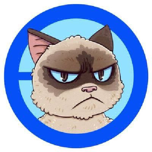 ApeStore - Trade Grumpy cat on Base with low fees and convenience