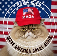 ApeStore - Trade Pixa MAGA Cat on Base with low fees and convenience