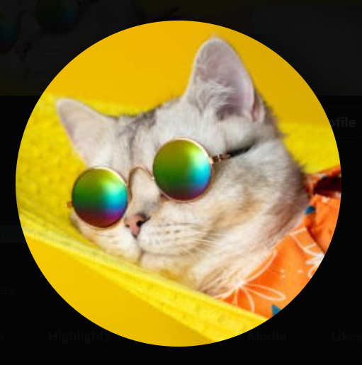 ApeStore - Trade CATBRO on Base with low fees and convenience