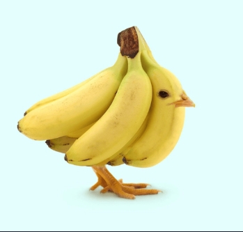 ApeStore - Trade bicken on Base with low fees and convenience