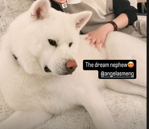 ApeStore - Trade Coinbase DOG on Base with low fees and convenience