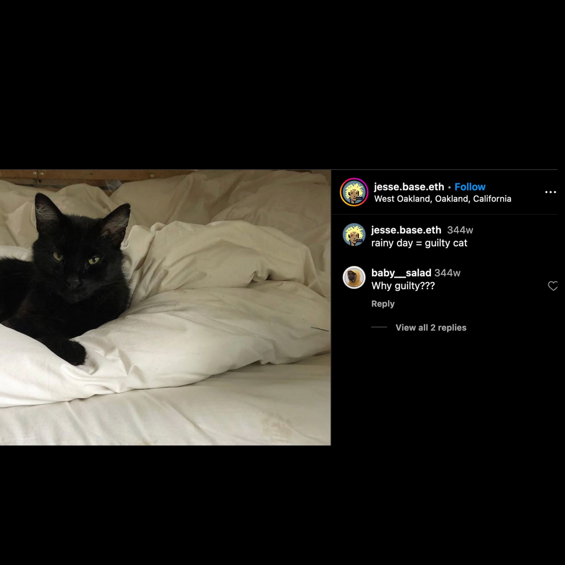 ApeStore - Trade Jesse's Cat on Base with low fees and convenience