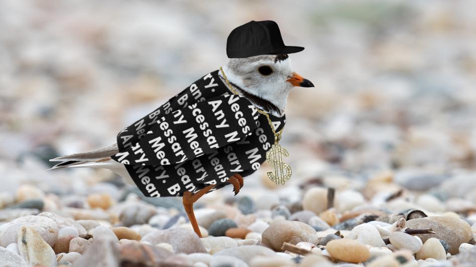 ApeStore - Trade Swaggy Bird on Base with low fees and convenience
