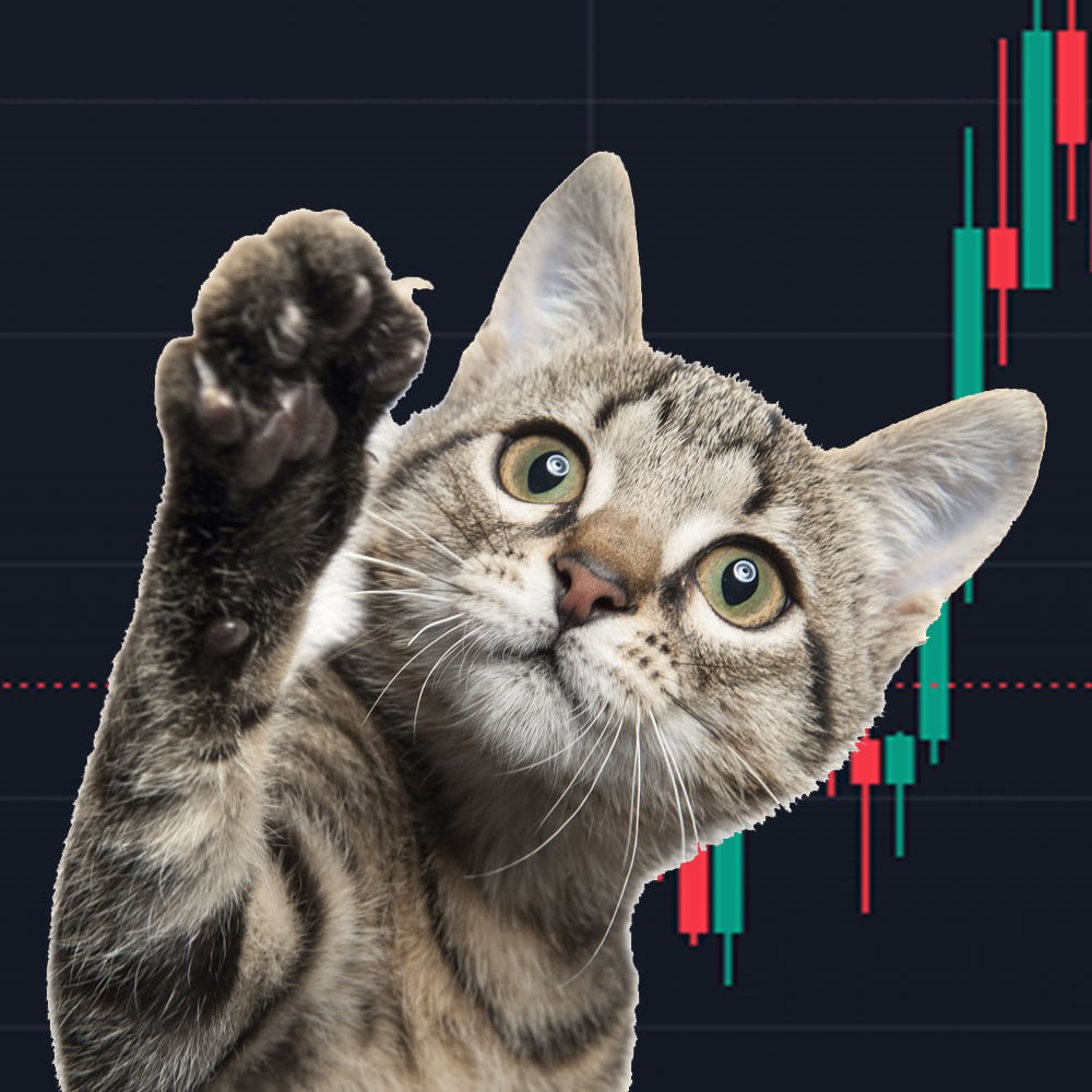 ApeStore - Trade WAVE CAT on Base with low fees and convenience